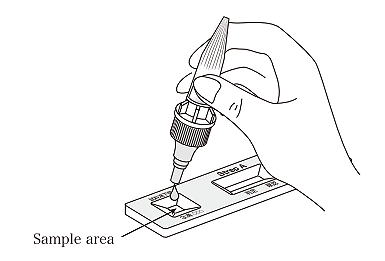 Strep A Rapid Test Streptococcal Antigen Kit - Linkseas Diagnostic ...